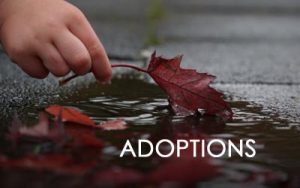 Adoptions in Utah – Stephen Howard – Utah Attorney